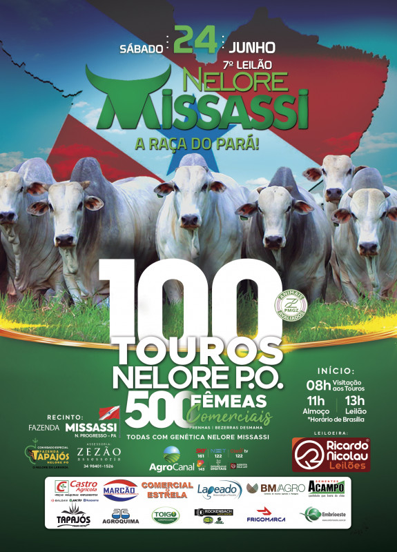 7º LEILÃO NELORE MISSASSI